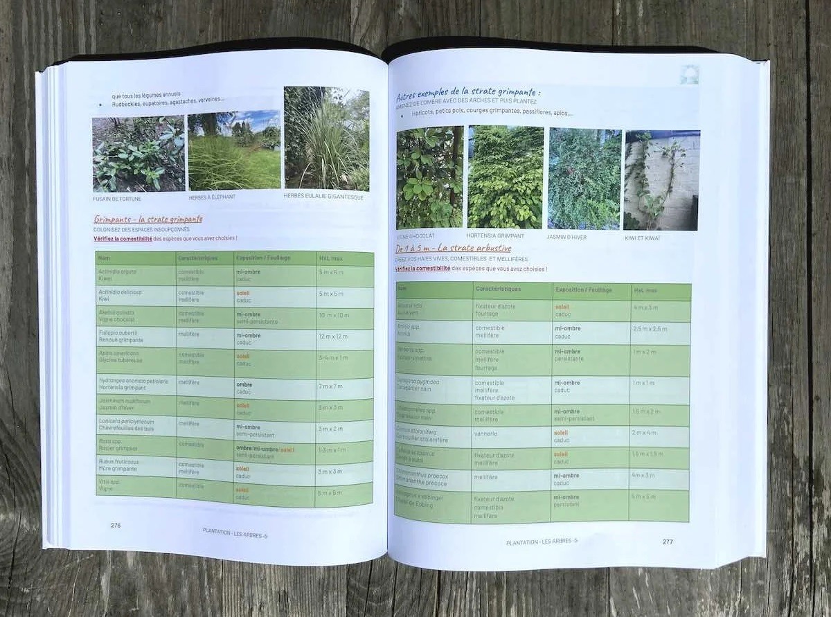 Step by step towards a living land