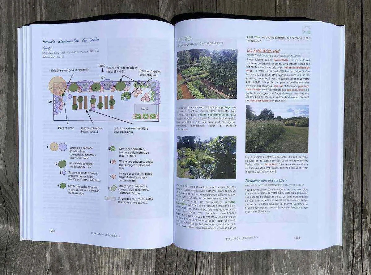 Step by step towards a living land
