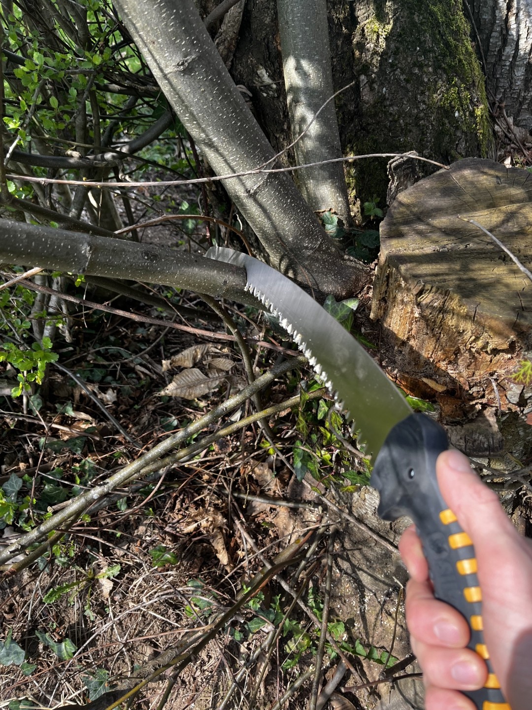 Professional Sugoi 360 fixed pruning saw