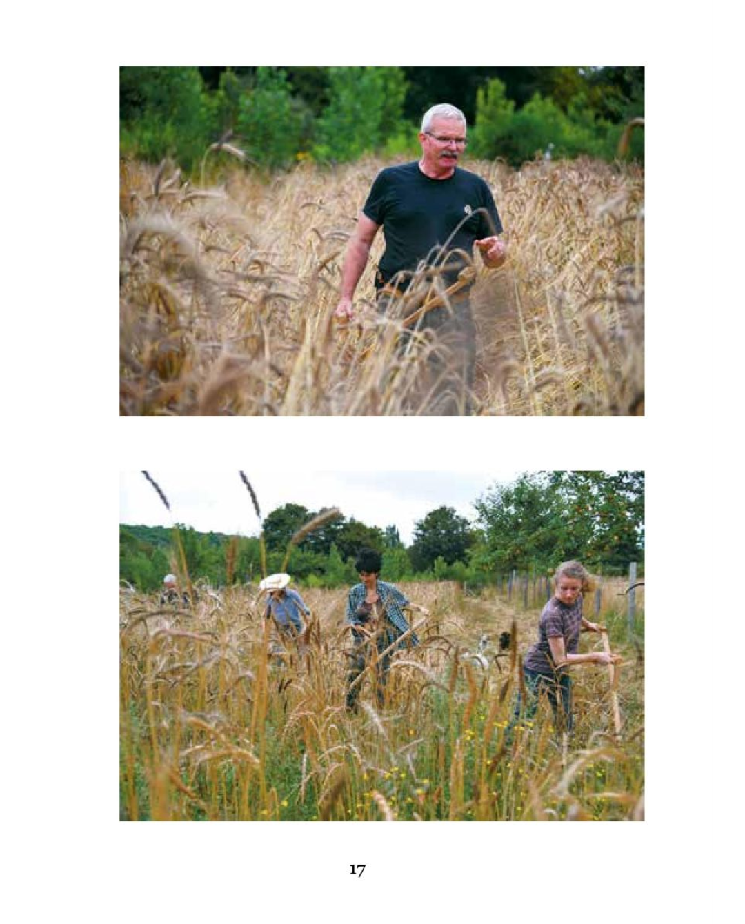 Guide pratique de la faux