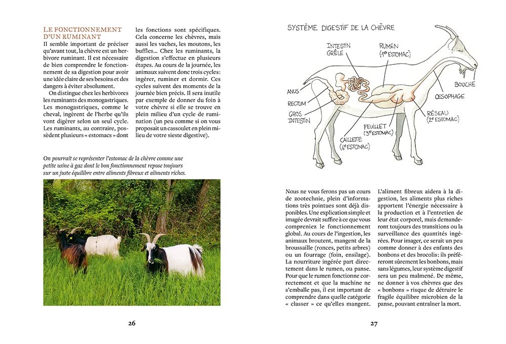 Raising goats and making cheese