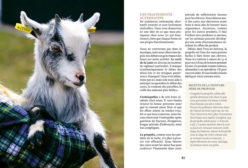 Raising goats and making cheese