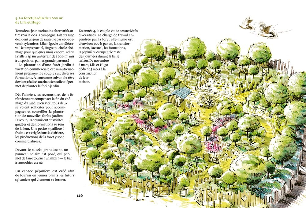 Create a mini forest garden