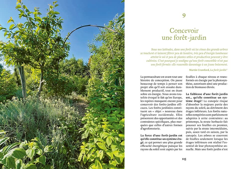 Create a mini forest garden