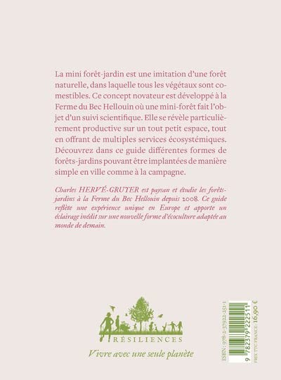 Create a mini forest garden