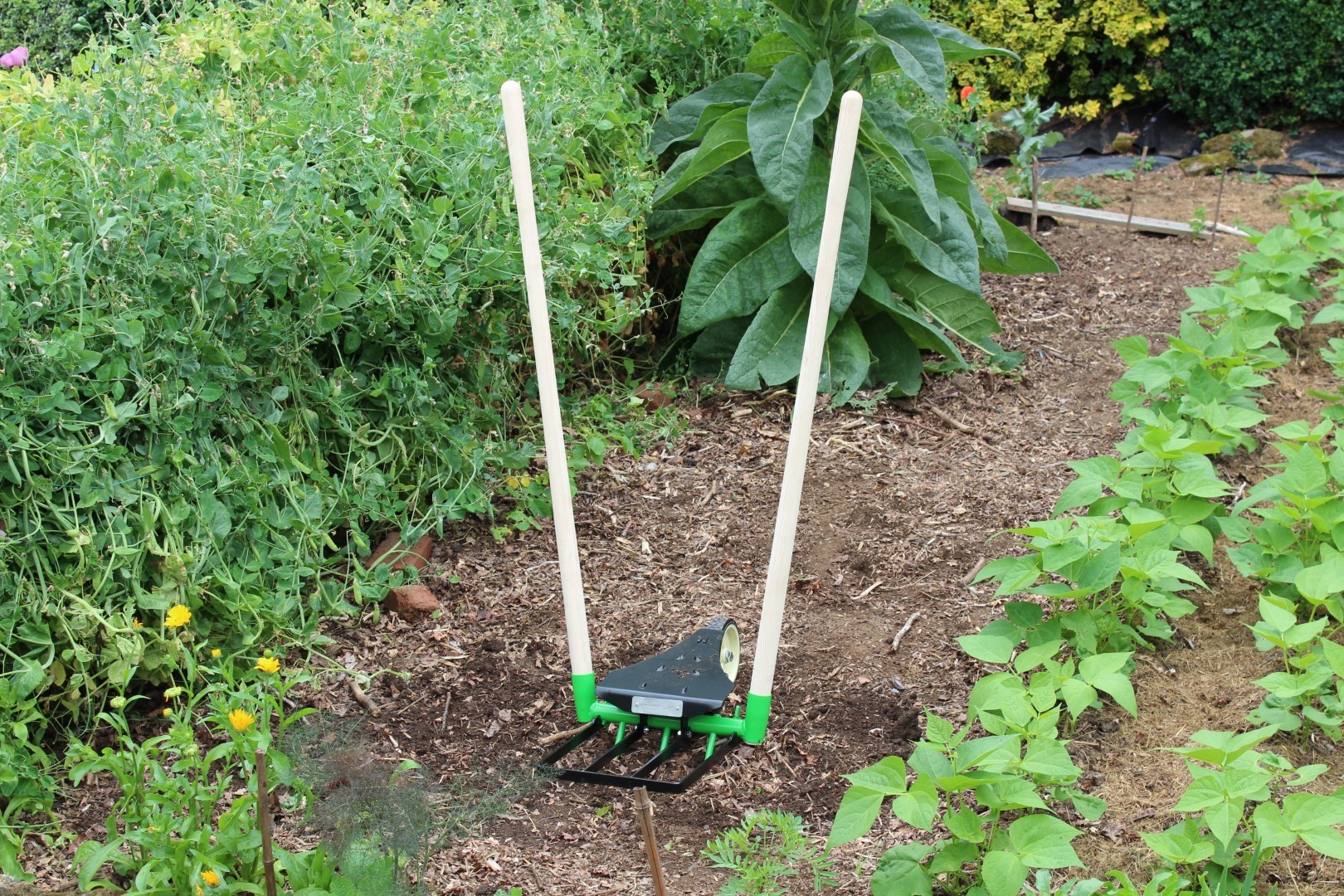 La Campagnole® Pitchoune - La Fabriculture