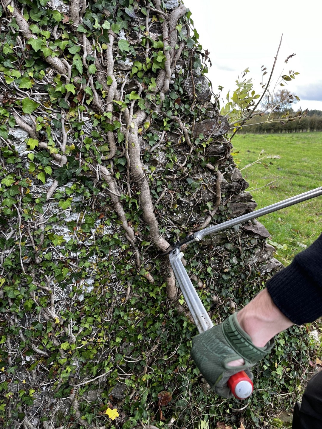 Pruner 84 cm: Powerful, lightweight, and comfortable for precise cutting.