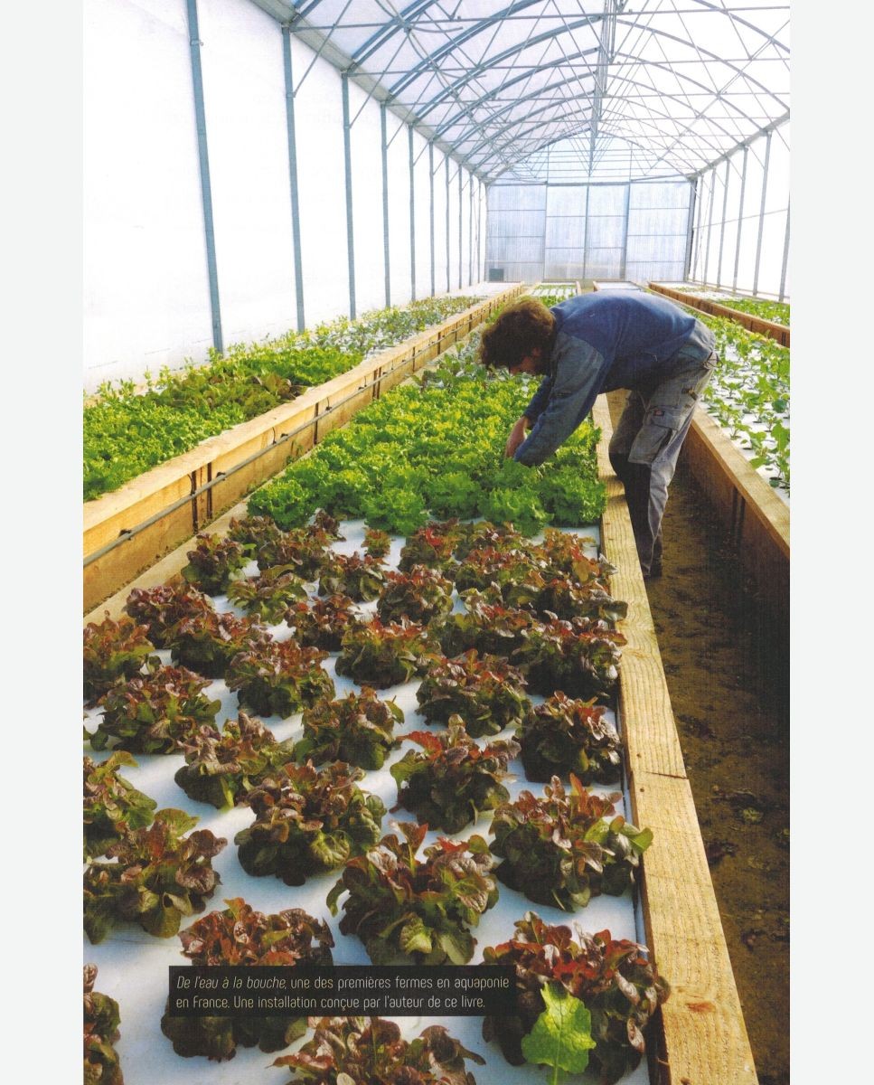 Guide pratique de l'aquaponie