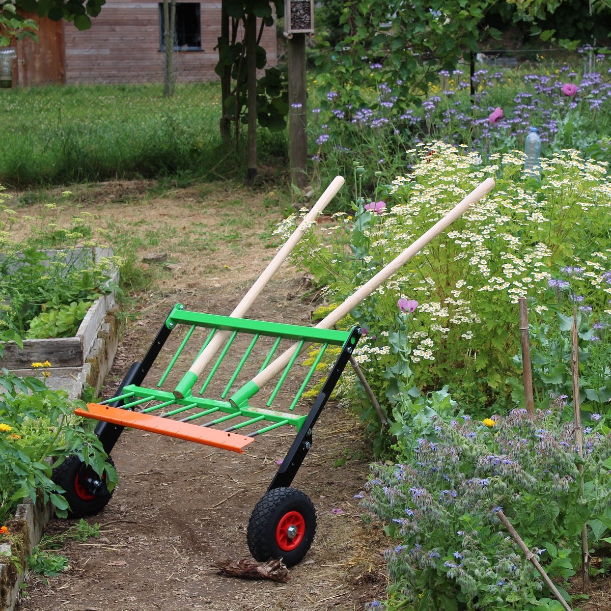 La Campagnole® with fixed counter-teeth