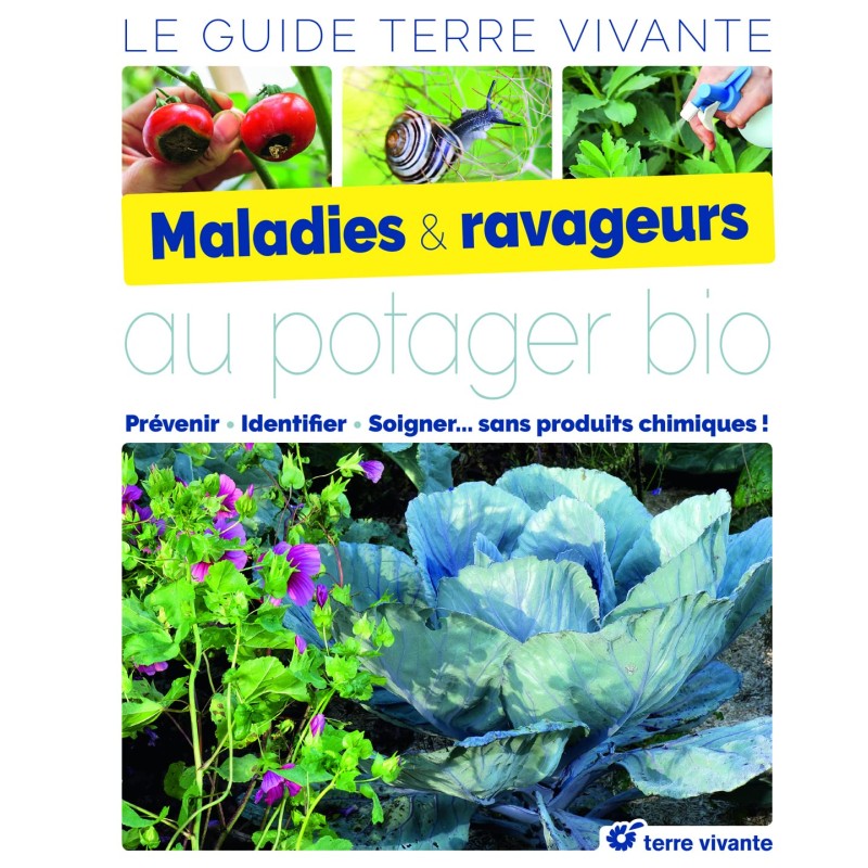 Diseases and pests in the organic vegetable garden: Prevent, identify ...