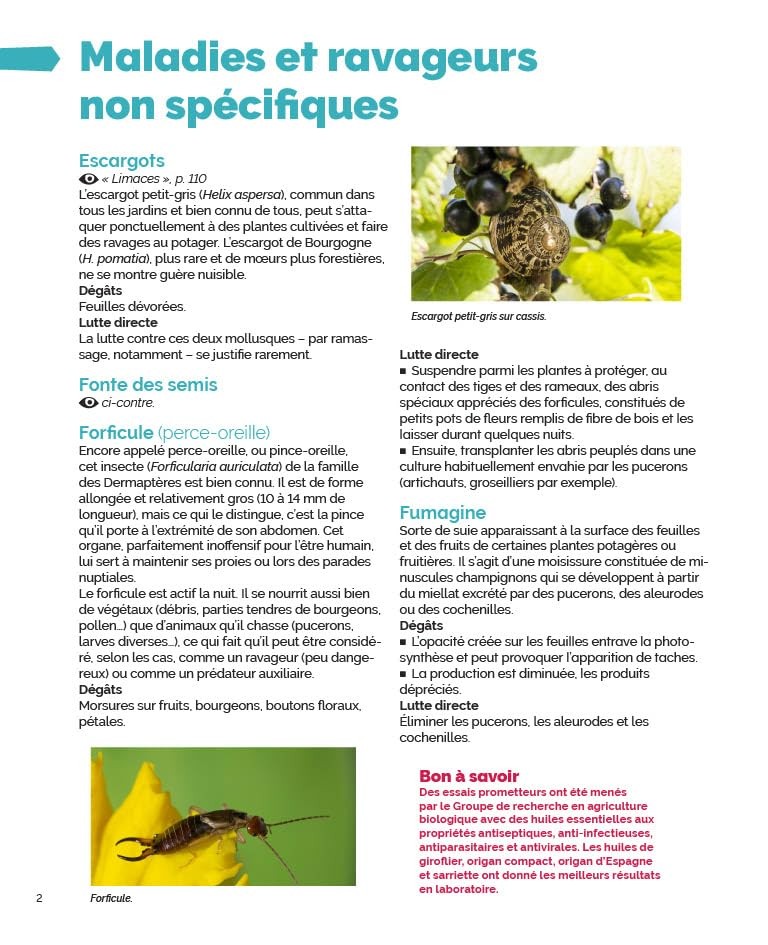 Maladies et ravageurs au potager bio Prévenir, identifier, soigner ...