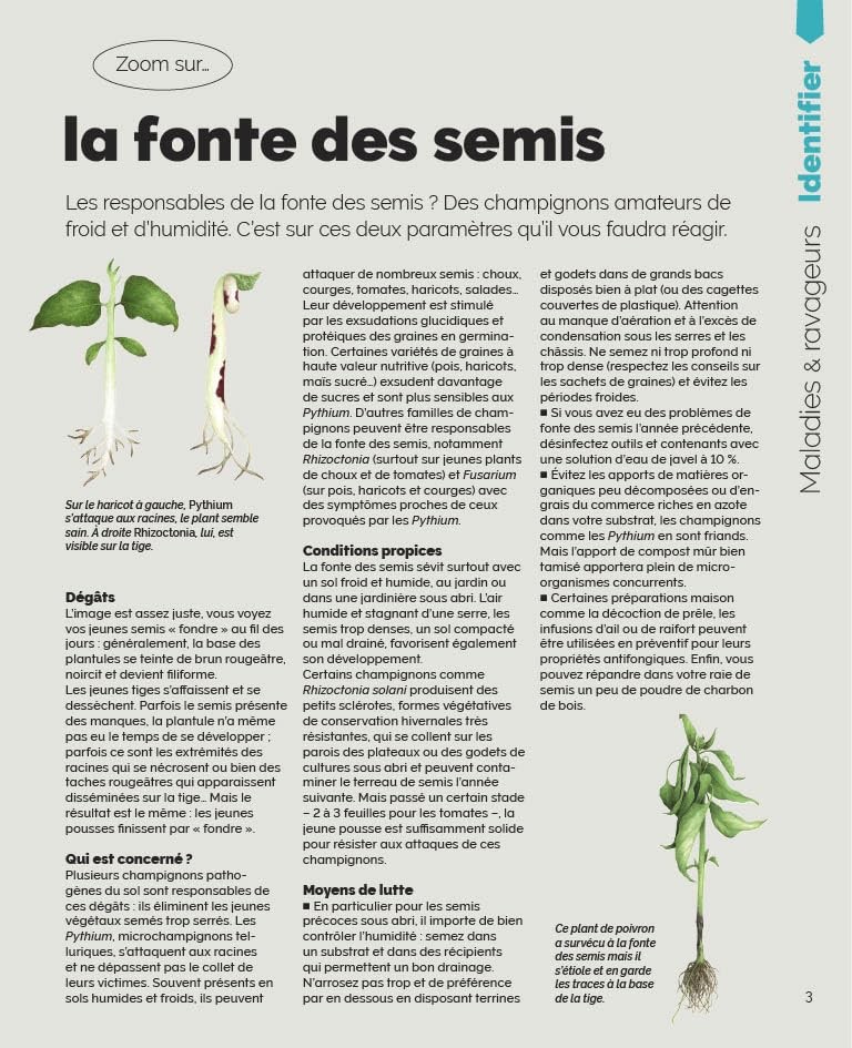 Doenças e pragas na horta orgânica: prevenir, identificar, tratar ...