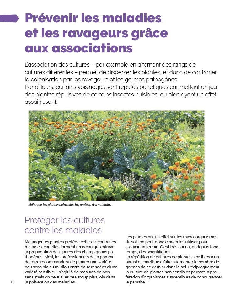 Doenças e pragas na horta orgânica: prevenir, identificar, tratar ...