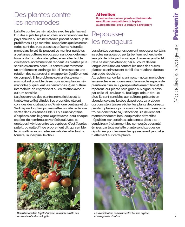 Maladies et ravageurs au potager bio Prévenir, identifier, soigner ...