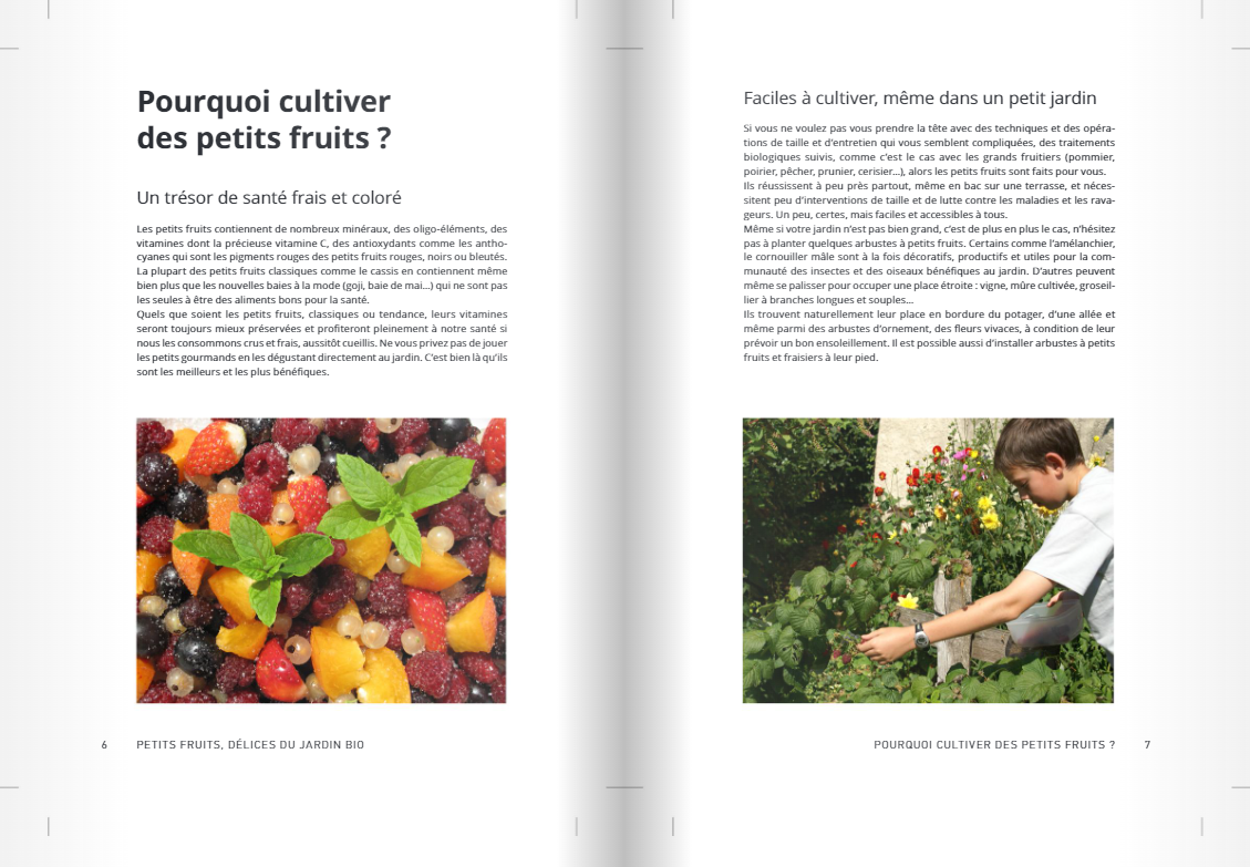 Petits fruits, délices du jardin bio Choisir, planter, soigner, multiplier…