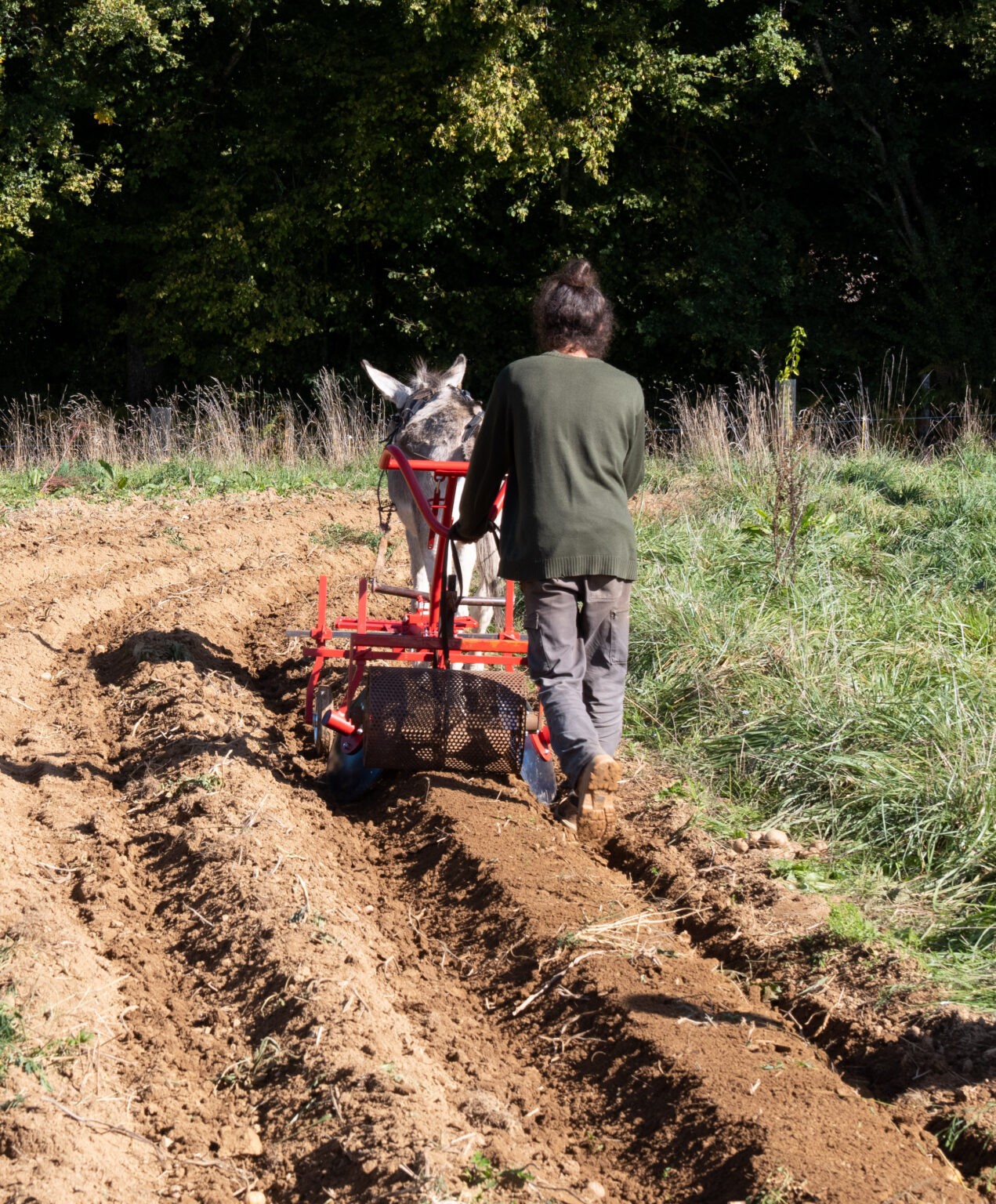 Partnership with Prommata: manufacturing of animal traction tools