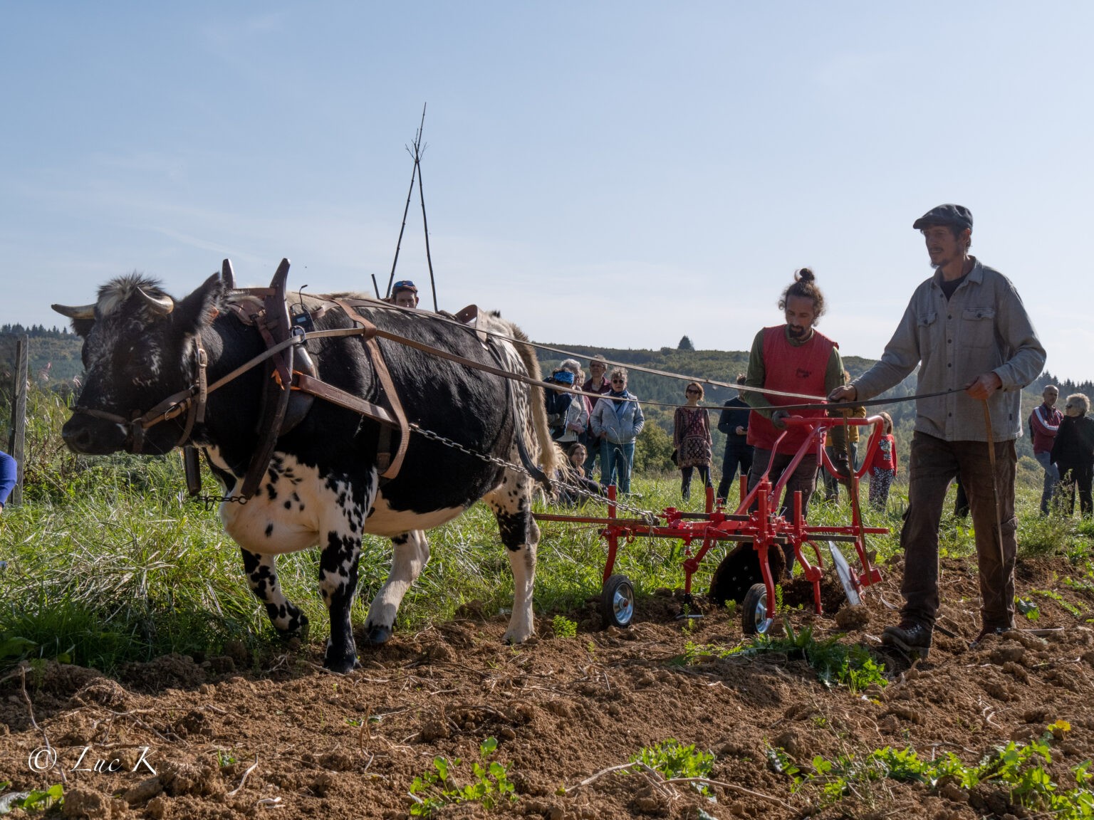 Partnership with Prommata: manufacturing of animal traction tools