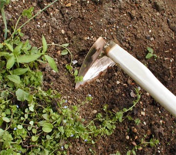 Houe Sirius - PKS - Outil polyvalent pour l’entretien du jardin