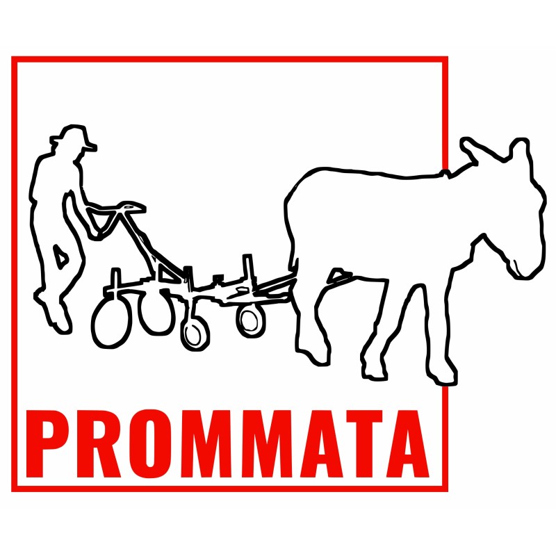 Partnership with Prommata: manufacturing of animal traction tools