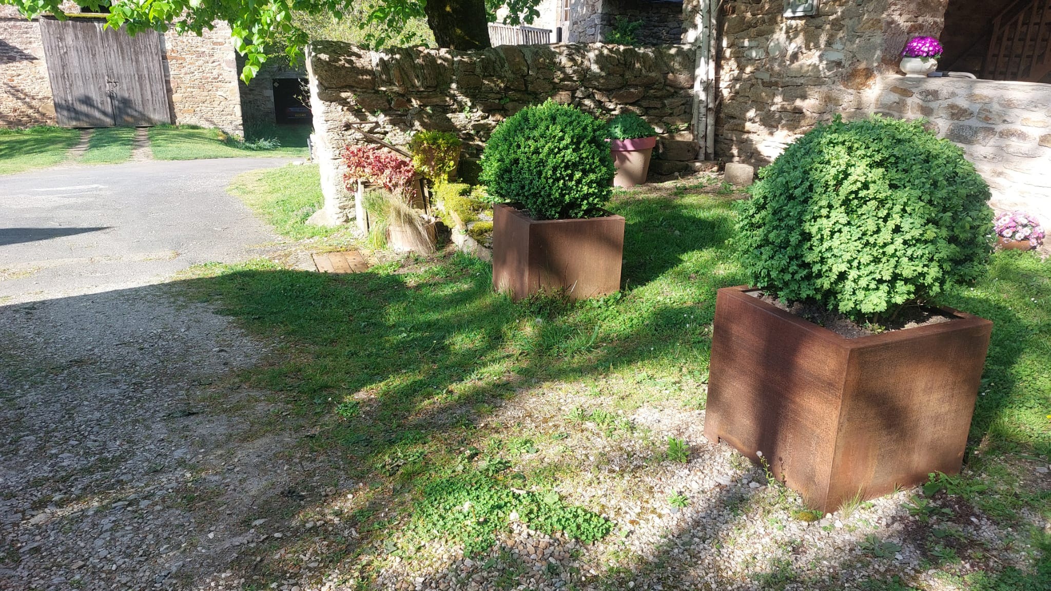 Steel planters: customized durability and aesthetics