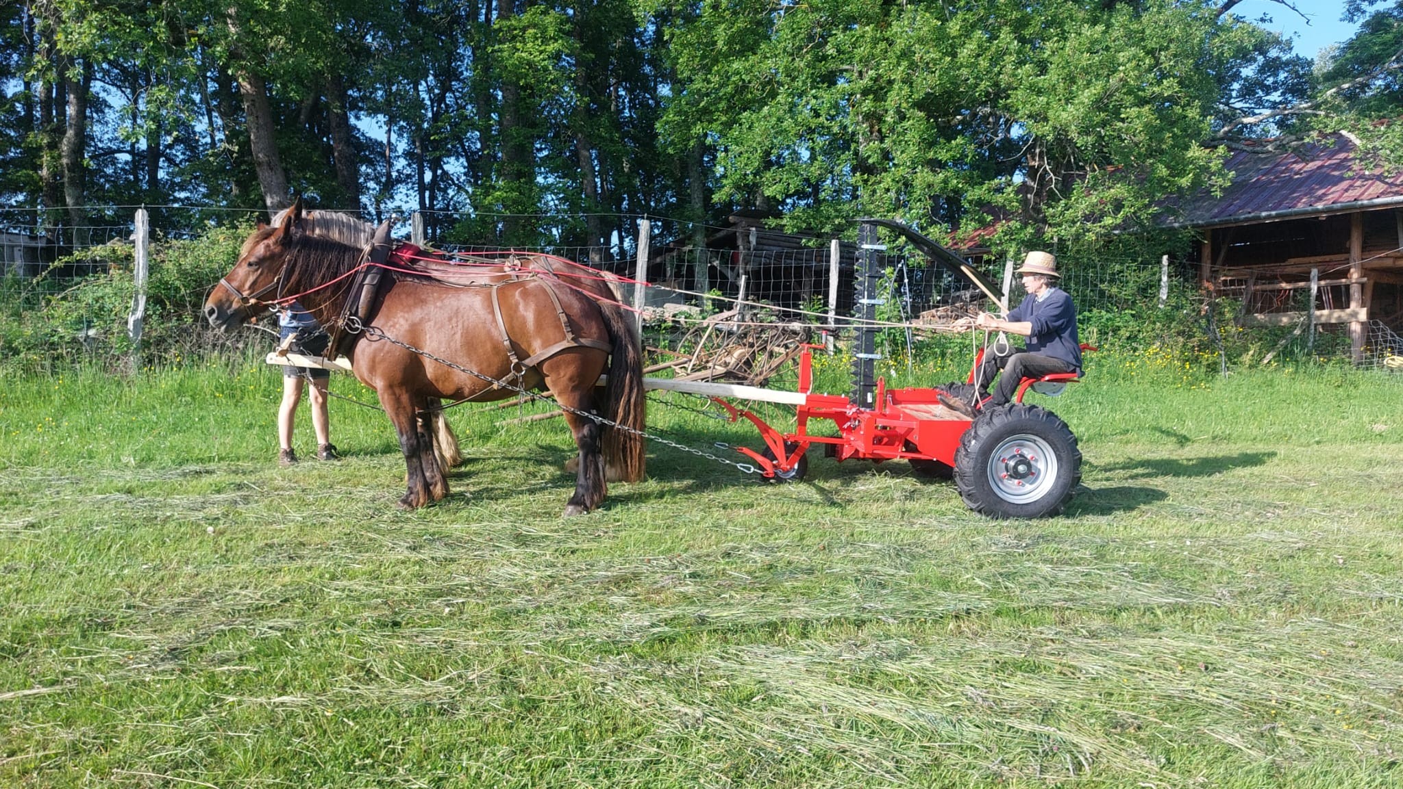 Animal-drawn mower front-end - Custom-made