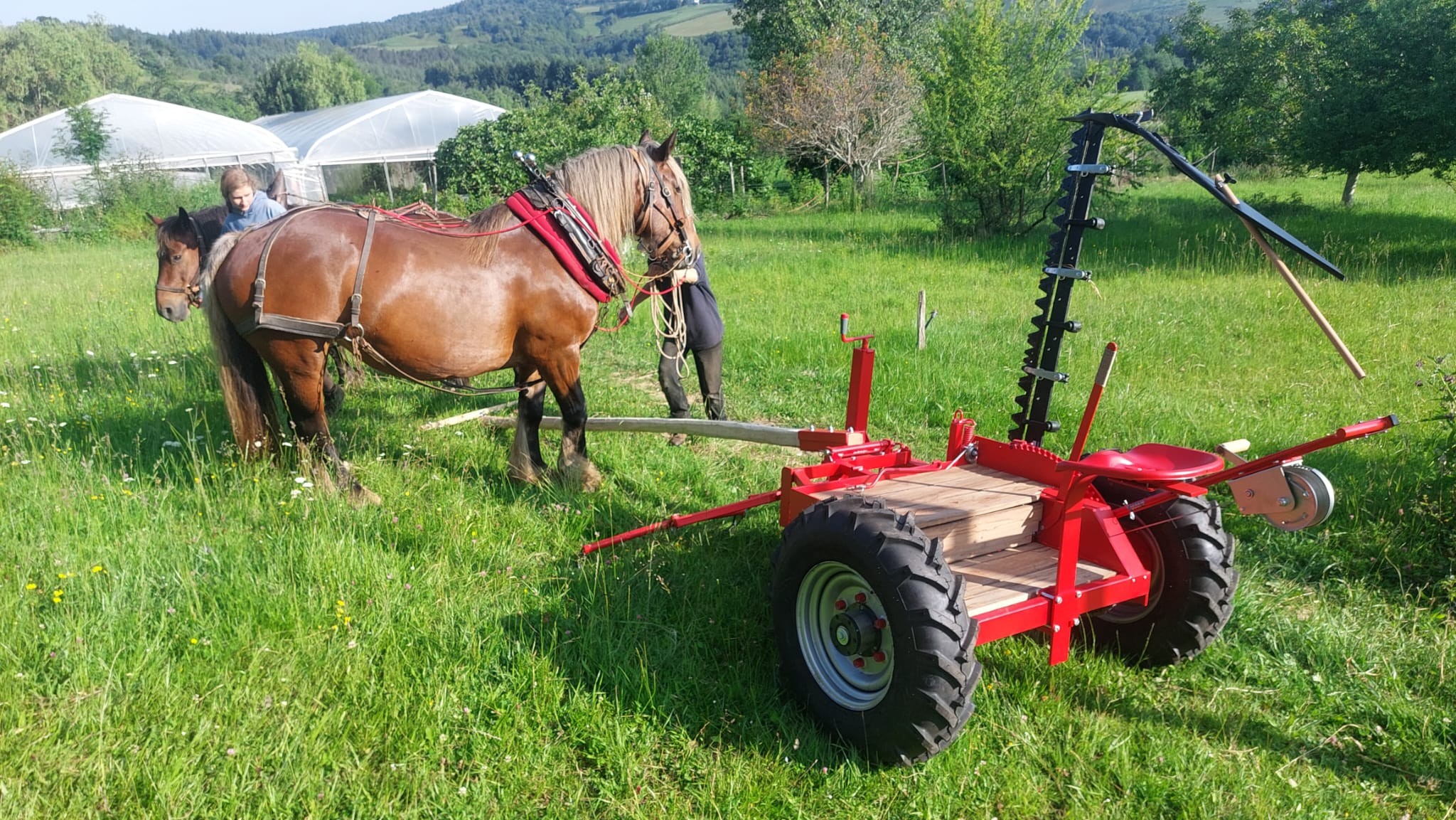 Faucheuse à traction animale - fabrication sur mesure Aveyron