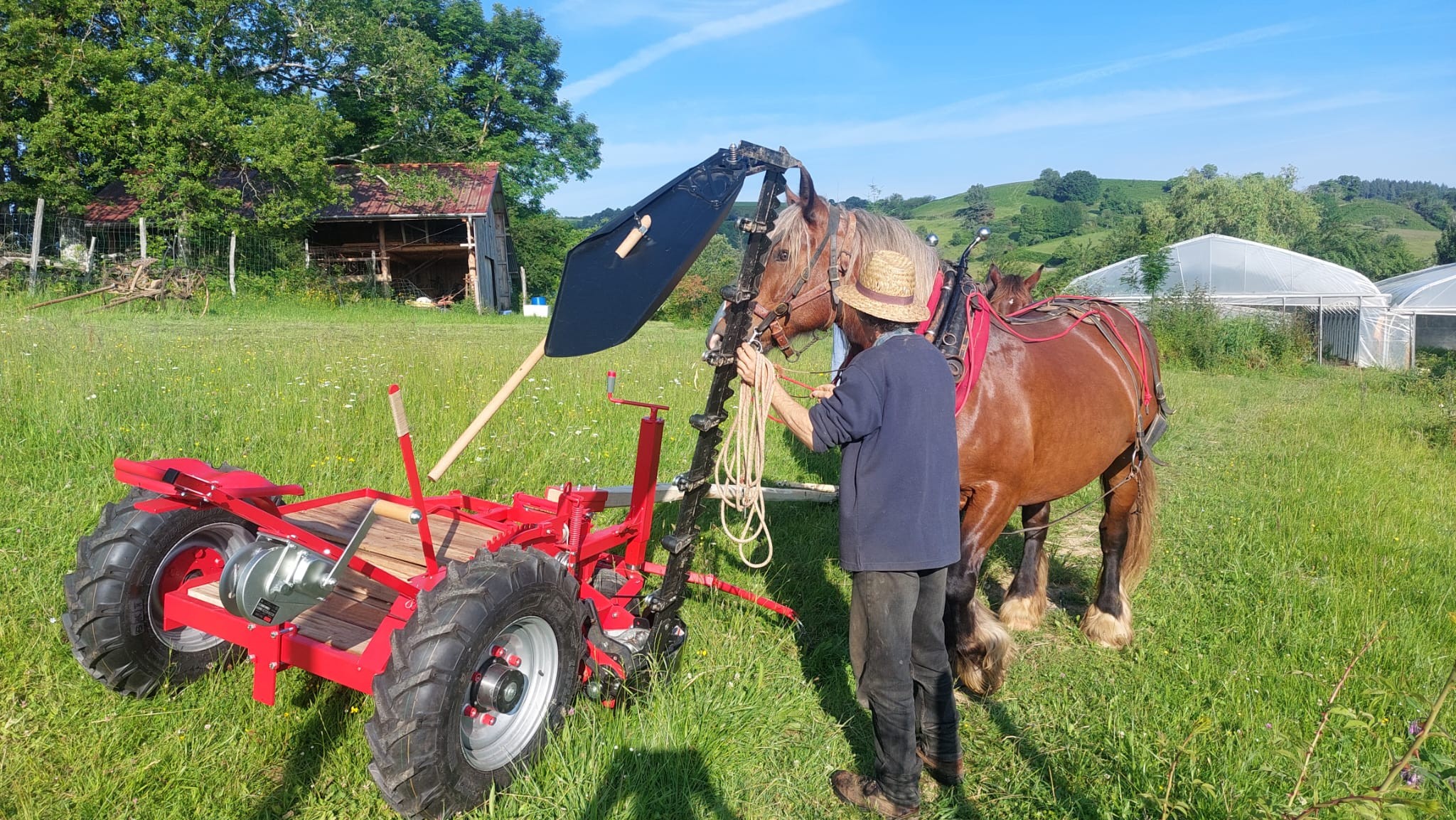 Animal-drawn mower front-end - Custom-made