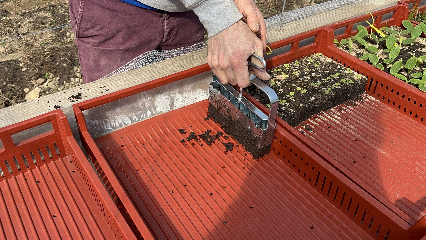 Press-Pots Mini and Maxi - For Easy Seedlings and Transplantation