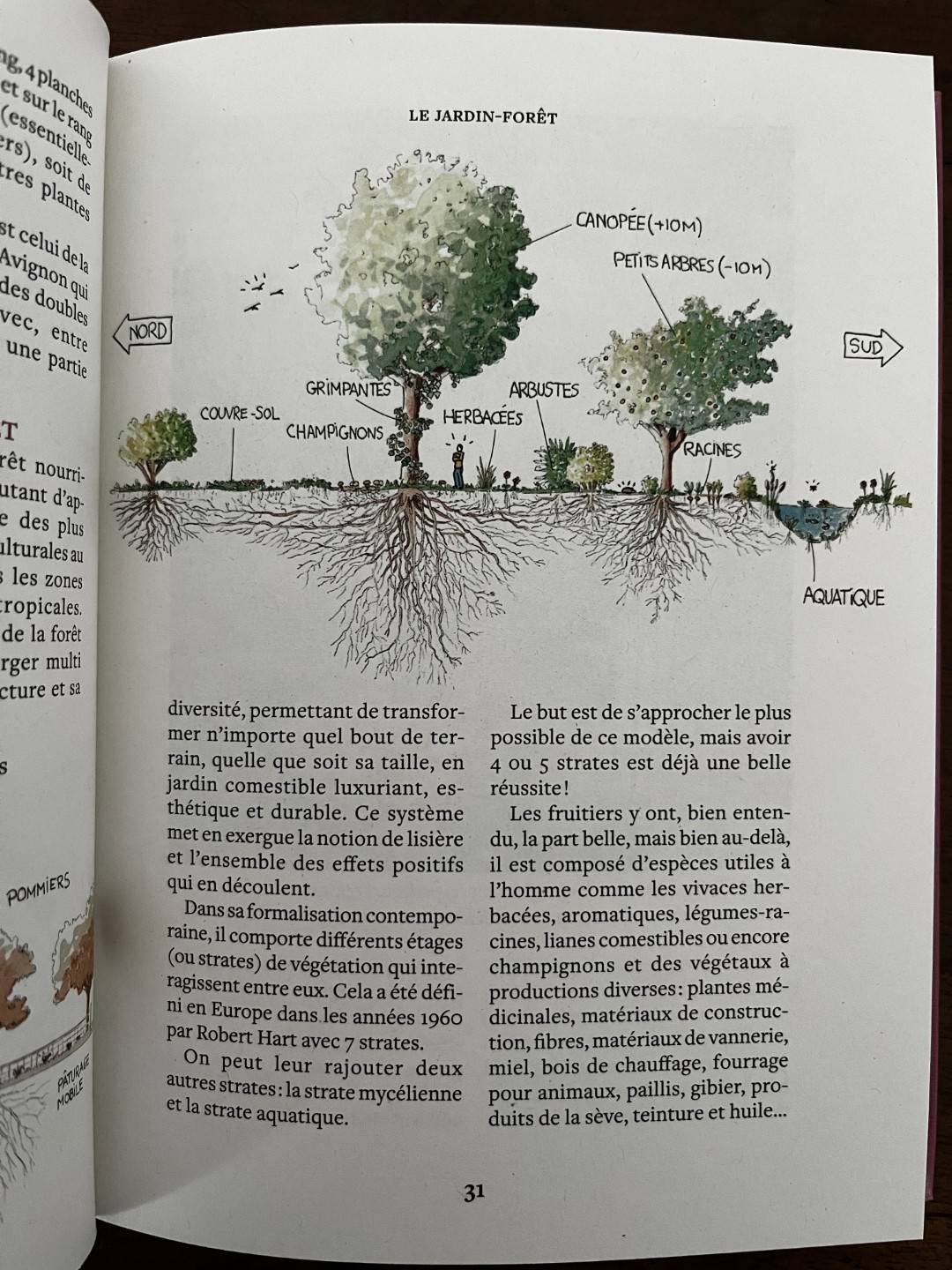Créer et entretenir un verger permaculturel