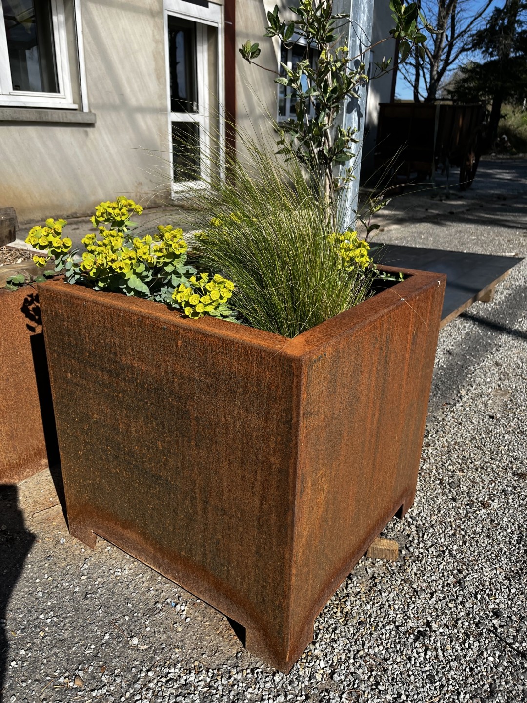 Steel planters: customized durability and aesthetics