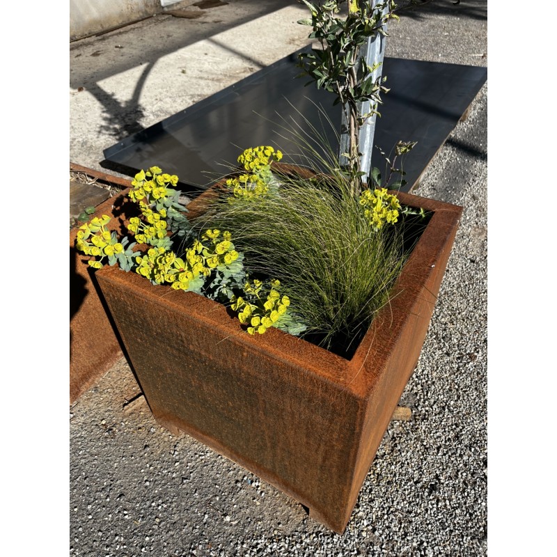 Steel planters: customized durability and aesthetics