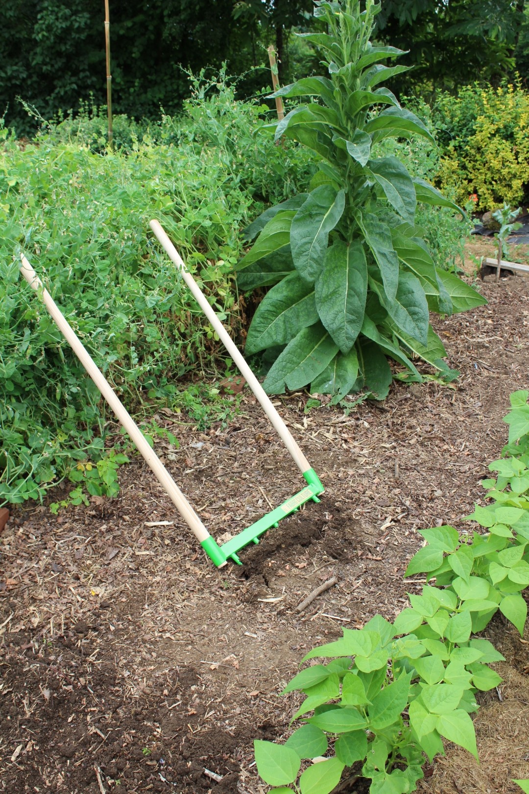 Odinette – Inspirée de la Grelinette d’André Grelin pour un sol sain