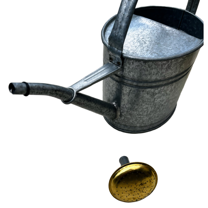 Regadera Galvanizada Regadera Decorativa De Metal Plateado (juego De