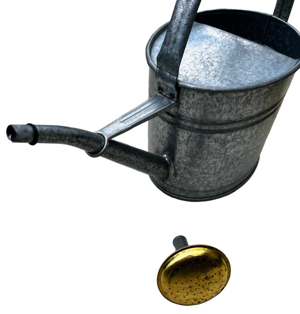 Galvanized steel watering cans: lightweight and sturdy